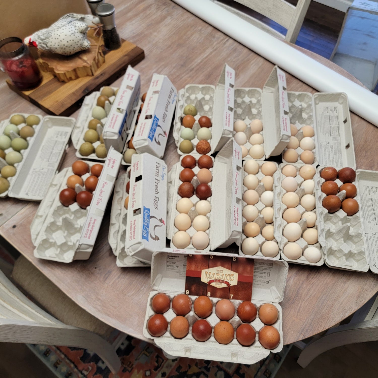 Nichols County: Hatching Eggs and Chicks